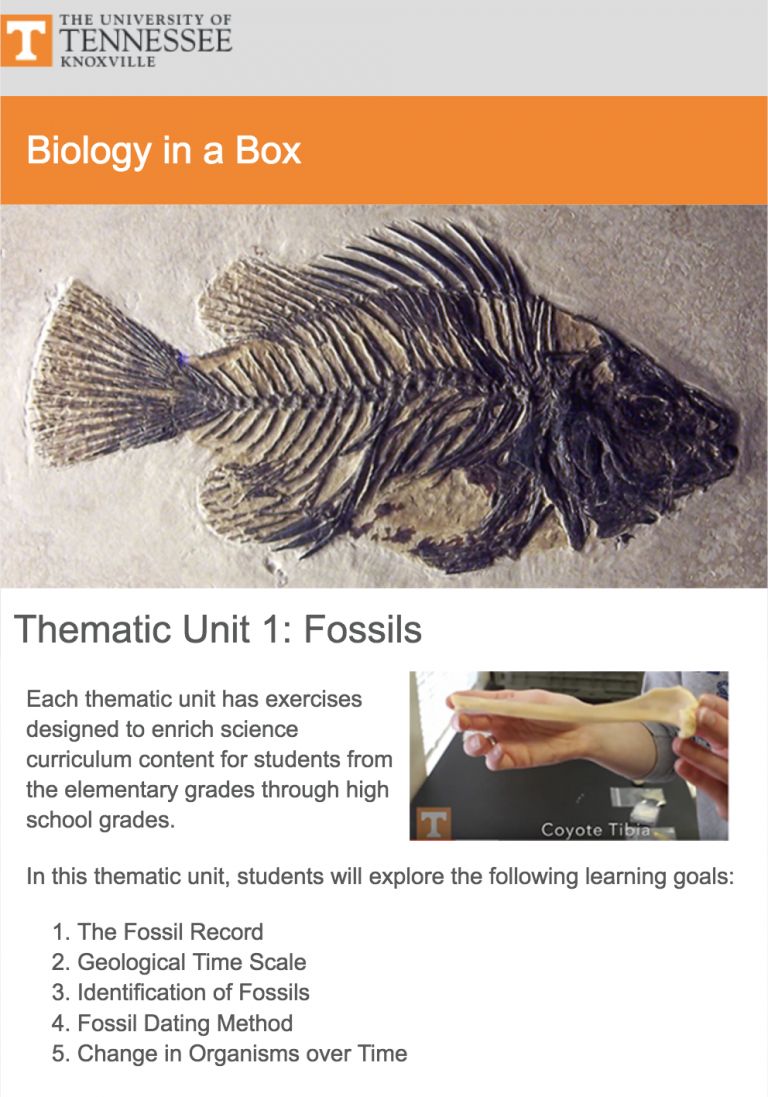 Newsletters - Biology In A Box